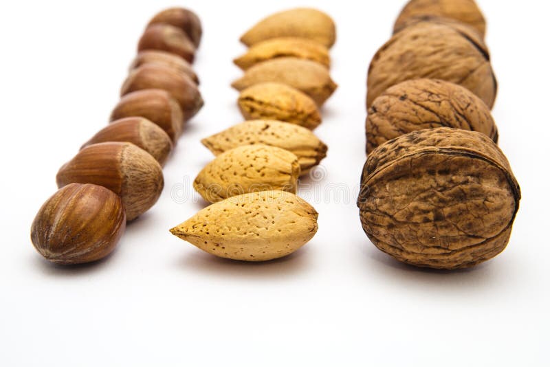 Types of nut stock photo. Image of shell, healthy, christmas - 17751198