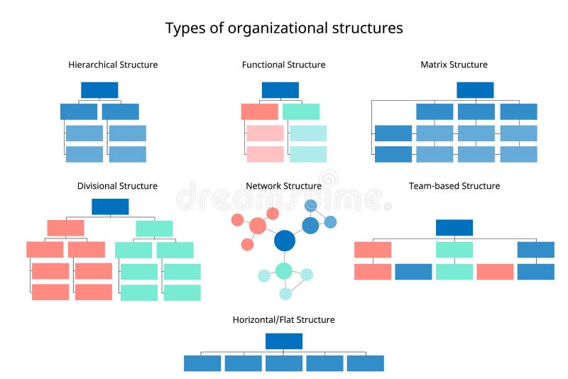 7 Types of Organizational Structures To Organize the Company ...