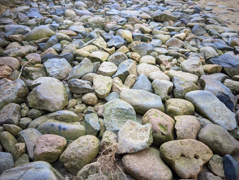 234 Types Gravel Stock Photos - Free & Royalty-Free Stock Photos from ...