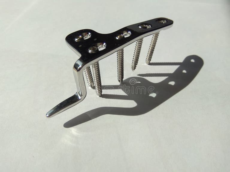 Locking Hook Plate with Screws for Operation in Traumatology in Case of ...