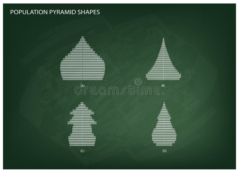 The 4 Types of Population Pyramids Graphs Stock Vector - Illustration ...