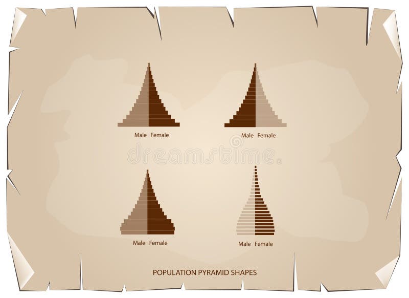 The 4 Types of Population Pyramids Graphs Stock Vector - Illustration ...
