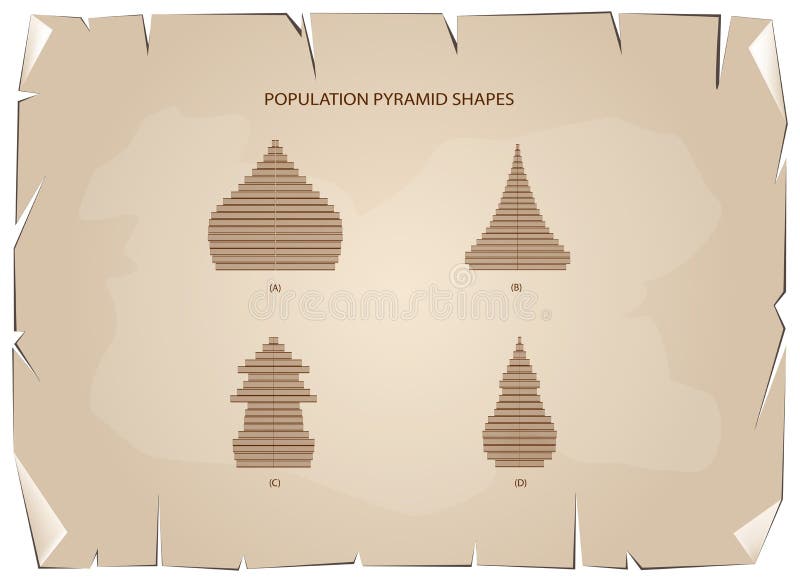 The 4 Types Of Population Pyramids Graphs Stock Vector Illustration Of Contracting Plot