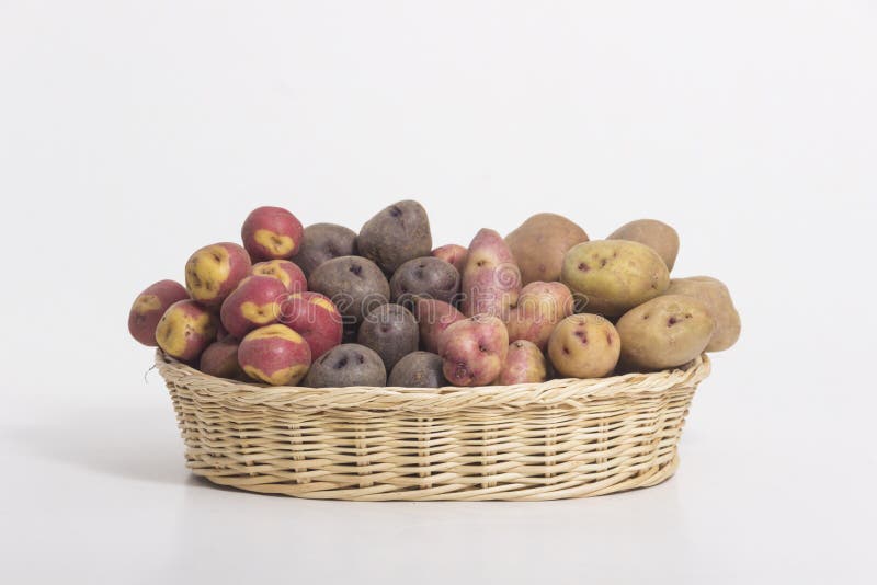 Types of Potatoes - Peruvian Potatoes Still Life Stock Image - Image of ...