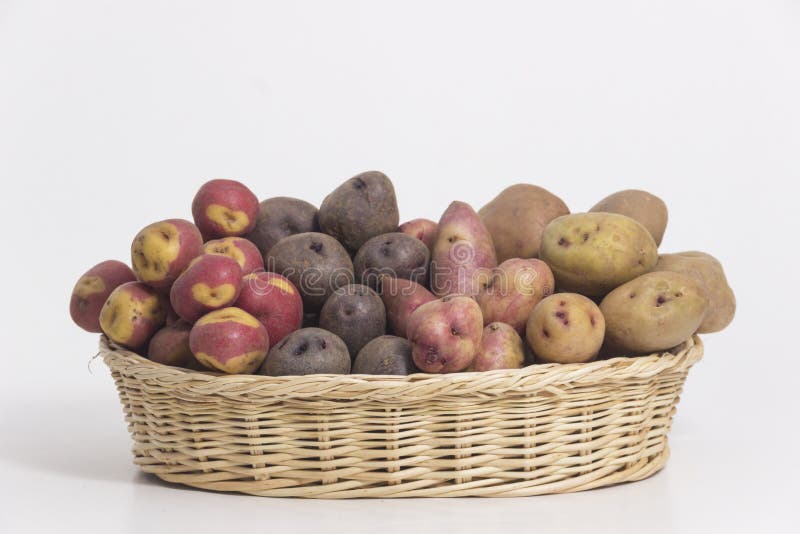 Types Of Potatoes - Peruvian Potatoes Still Life Stock Photo - Image of ...