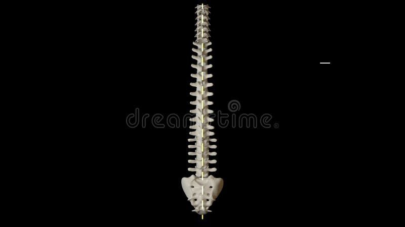 Column Labeled Stock Footage & Videos - 6 Stock Videos