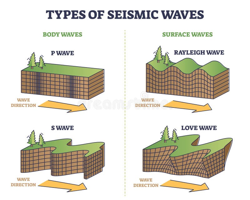 Types of Seismic Waves As Earth Movement in Earthquake Outline ... Types of Seismic Waves As Earth Movement in Earthquake Outline ...