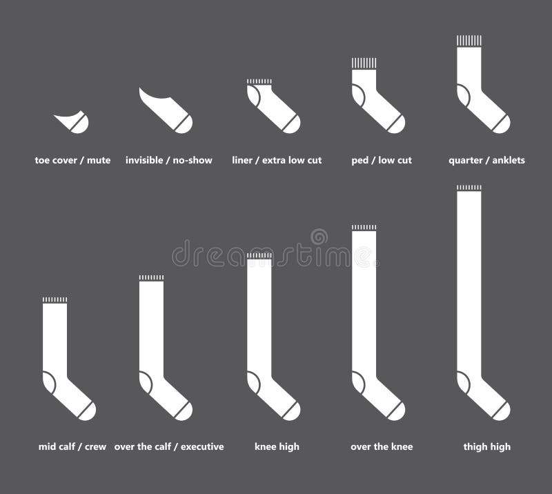 Types Of Socks Set Stock Vector Illustration Of Female 133537001