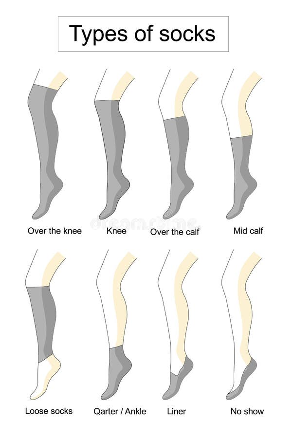 Set of Types of Female Bras Stock Vector - Illustration of cami ...