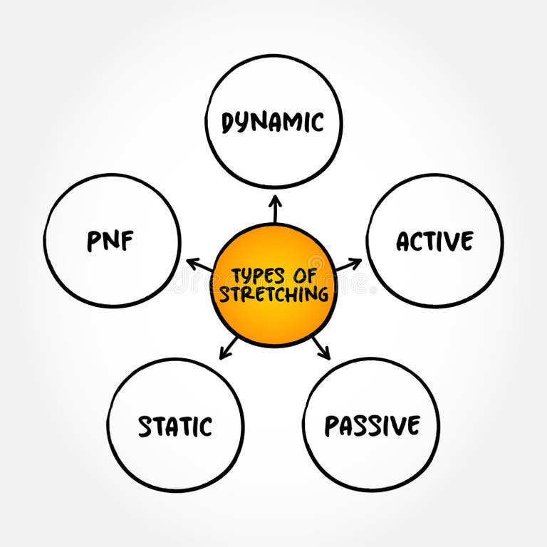 Types of Stretching - Form of Physical Exercise in Which a Specific ...
