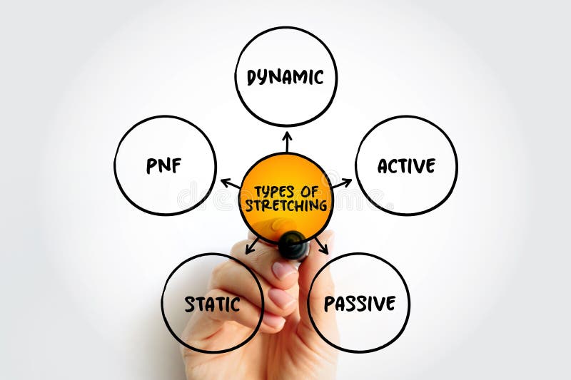 Types of Stretching - Form of Physical Exercise in Which a Specific ...