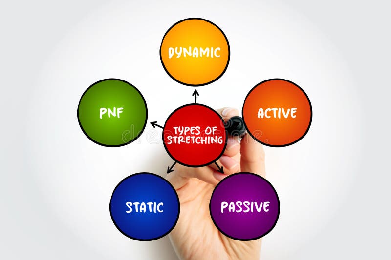 Types of Stretching - Form of Physical Exercise in Which a Specific ...