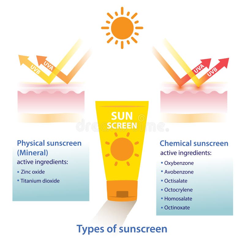 Chemical Sunscreen Stock Illustrations – 617 Chemical Sunscreen Stock ...
