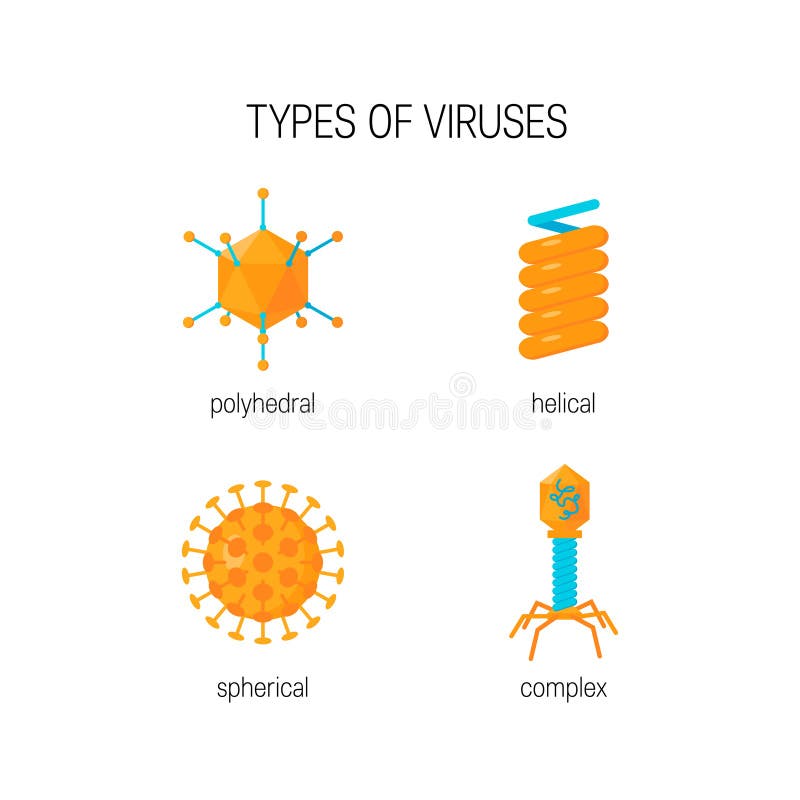 Types of Viruses Vector Concept Stock Vector - Illustration of medical ...