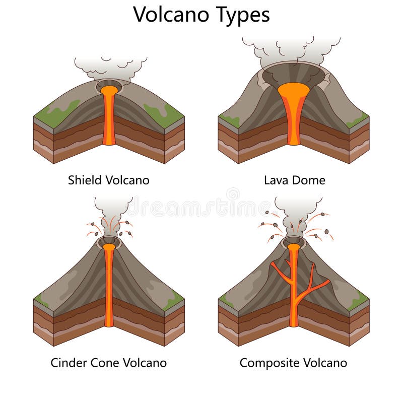 Types of Volcanoes Diagram with Structure Examples Stock Illustration ...