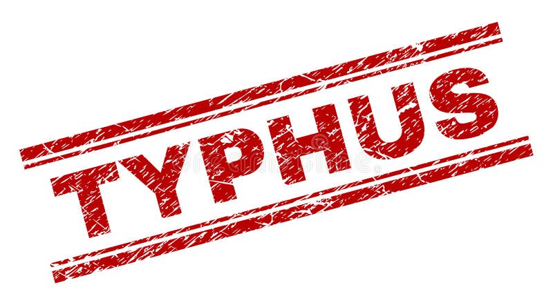 Grunge Textured TYPHUS Stamp Seal Stock Vector - Illustration of ...