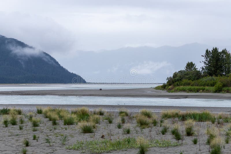 Along the Alaskan roads stock image. Image of beautiful - 261510381