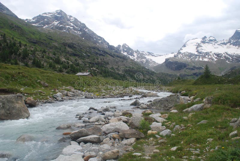 Alpine Torrent Flowing in a the Rocks Stock Image - Image of water ...