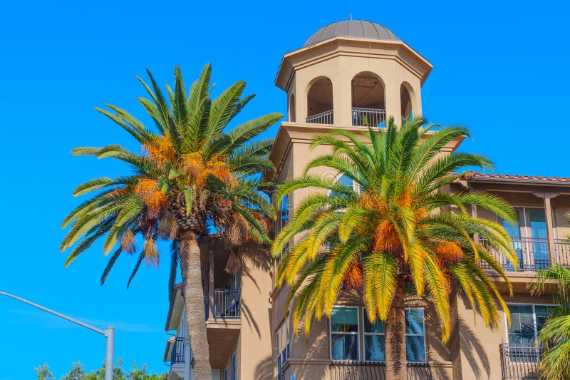 Typical Architecture with Palm Trees in Riverside, California Stock ...