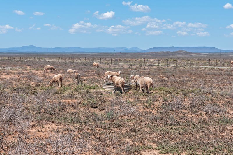 Karoo Landscape with Mountains Stock Image - Image of karoo, landscape ...