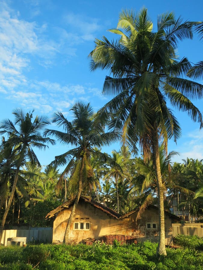 Typical Asian House in Sunrise Light Stock Photo - Image of cabin ...