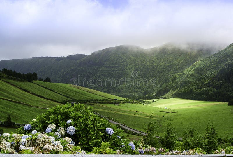 Typical Azorean Landscape with Green Meadows Bordered by Stone Walls ...