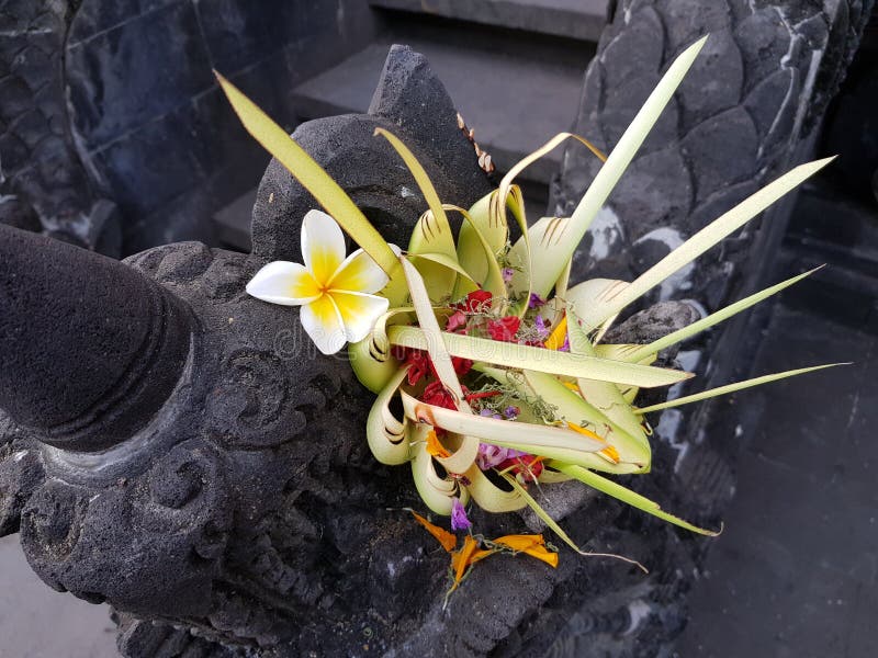 Bali Offering stock image. Image of balinese, plumeria - 129088645