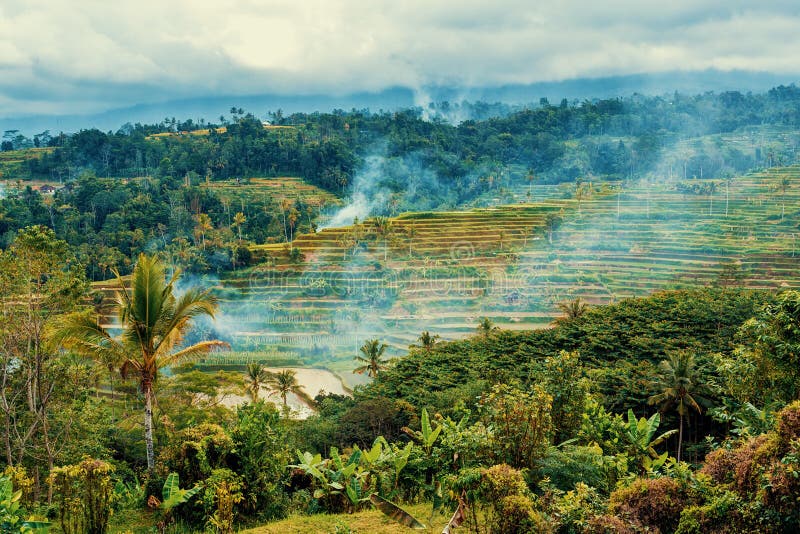 Agriculture Terraced Fields in Ethiopia Stock Photo - Image of konso ...
