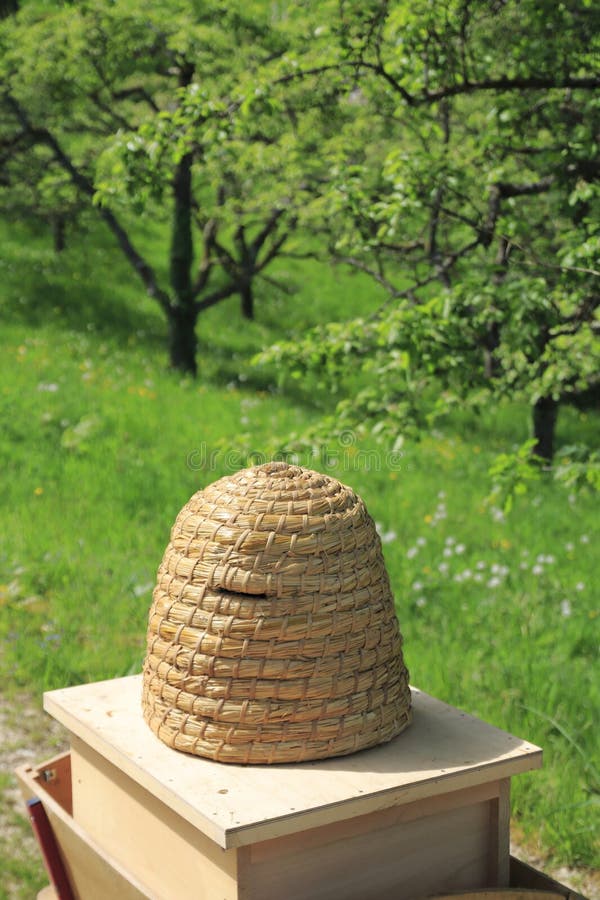 Typical Beehive, Beehive on a Meadow in Spring Stock Image - Image of ...