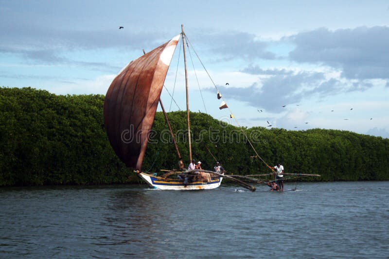 Typical boat editorial photo. Image of ceylon, fishing - 21960681
