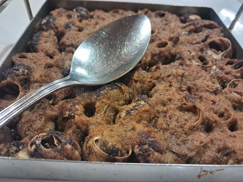 Typical Catalan Dish Canned Snails Stock Photo - Image of dish, canned ...