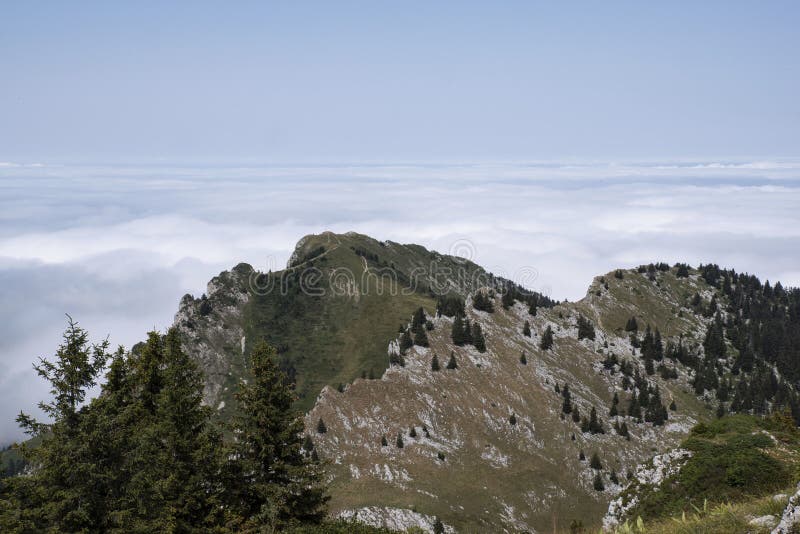 Mountain Landscape in Chartreuse Stock Image - Image of chartreuse ...