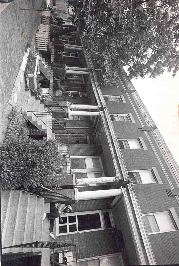 Typical DC Row Houses stock image. Image of history - 221403759