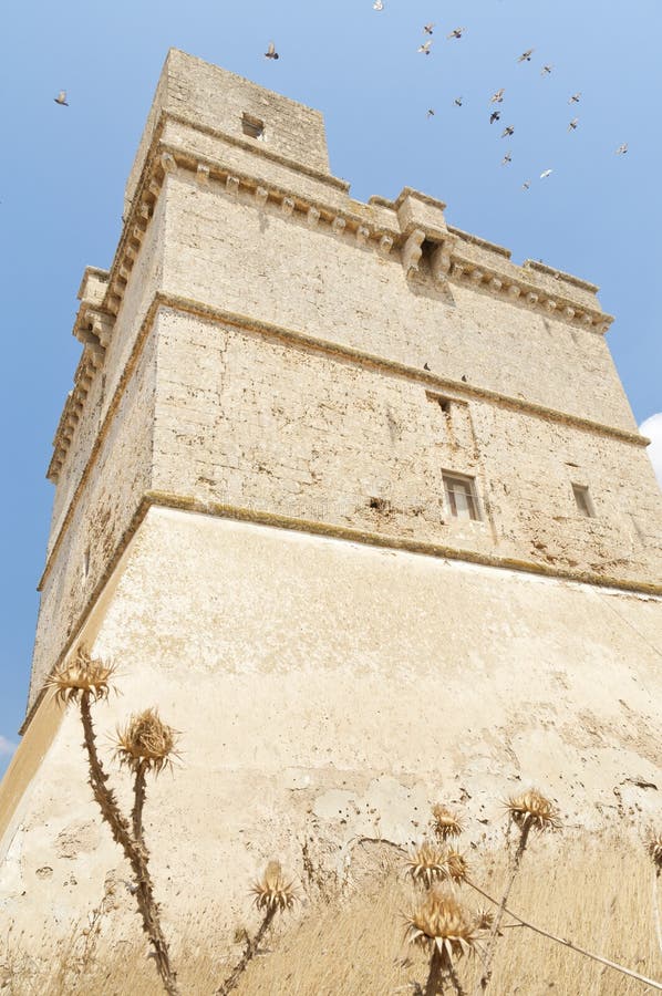 Typical Defensive Tower in Puglia Stock Image - Image of tower, baroque ...