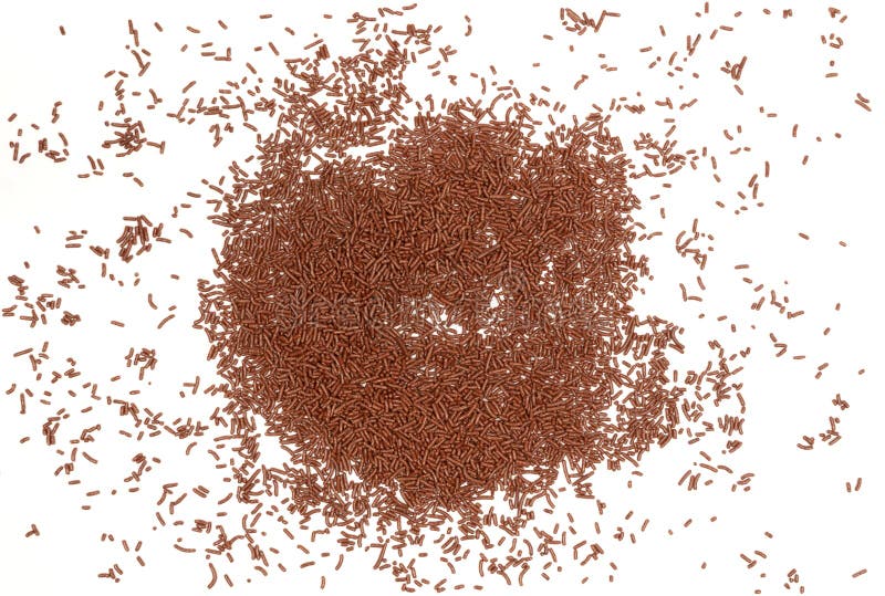 Typical Dutch Chocolate Sprinkles Hagelslag Stock Illustration ...