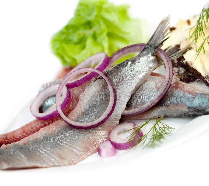 Typical Dutch herring stock image. Image of prepared - 16320353