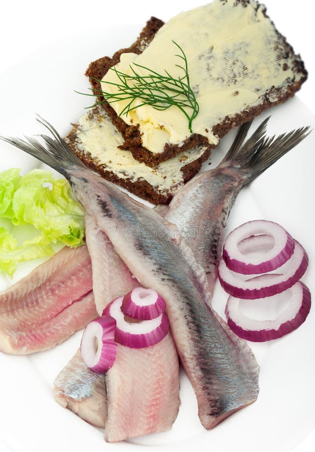 Typical Dutch herring stock photo. Image of studio, herring - 16311012