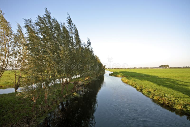Typical dutch landscape stock photo. Image of farmland - 16502300