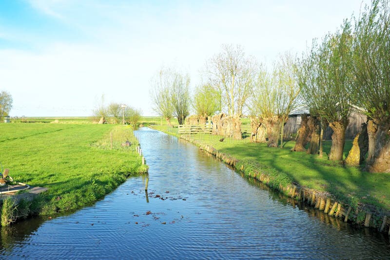 Typical Dutch Landscape in the Countryside from Netherlands Stock Image ...
