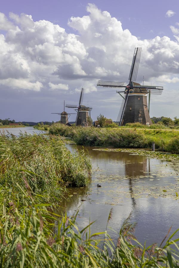 Typical Dutch Landscape with Traditional Windmills, Netherlands Stock ...