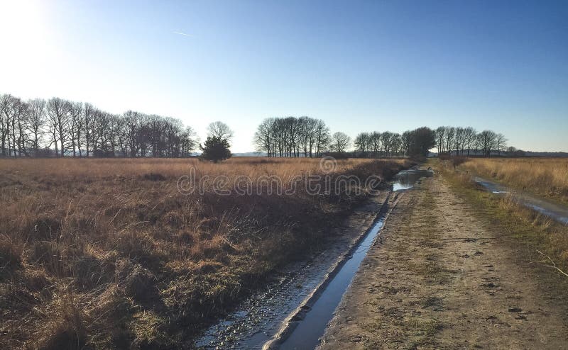 Typical Dutch Meadow Landscape with Stream and Tree Edge during Late ...