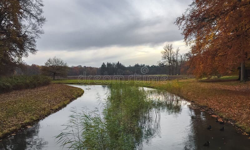 Typical Dutch Meadow Landscape with Stream and Tree Edge during Late ...