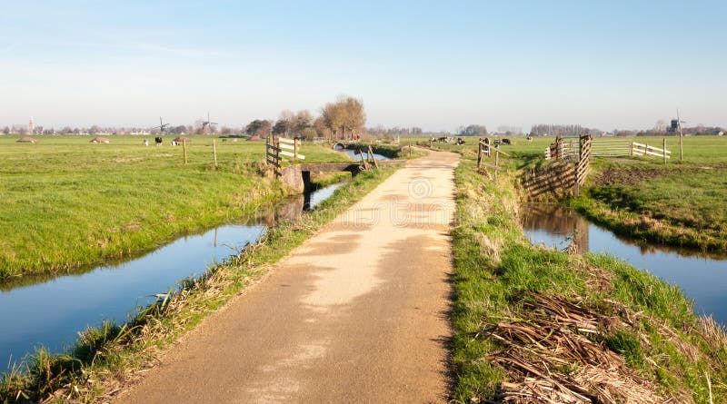 Typical Dutch Polder Landscape Stock Image - Image of road, perspective ...