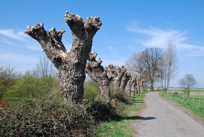 Typical dutch sleeping stock photo. Image of abbreviate - 10131514