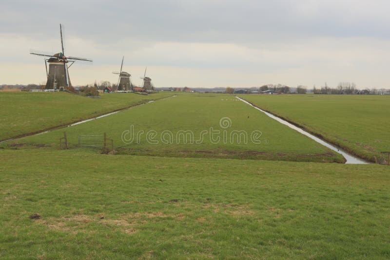 A typical Dutch windmill editorial photography. Image of leidschendam ...