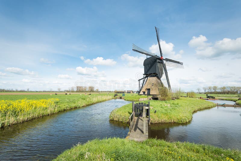 Typical Dutch Windmill in Springtime Stock Image - Image of landmark ...