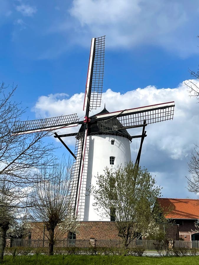 Windmill, Ancient Windmill in Dutch Style with White Building and Four ...