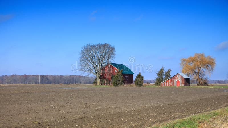 Typical Farm Landscape in Michigan Stock Photo - Image of summer, farm ...