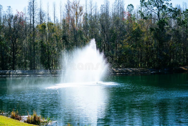 A Beautiful Florida Community Pond in Spring Stock Photo - Image of ...