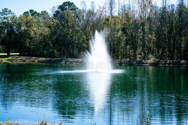 A Beautiful Florida Community Pond in Spring Stock Photo - Image of ...